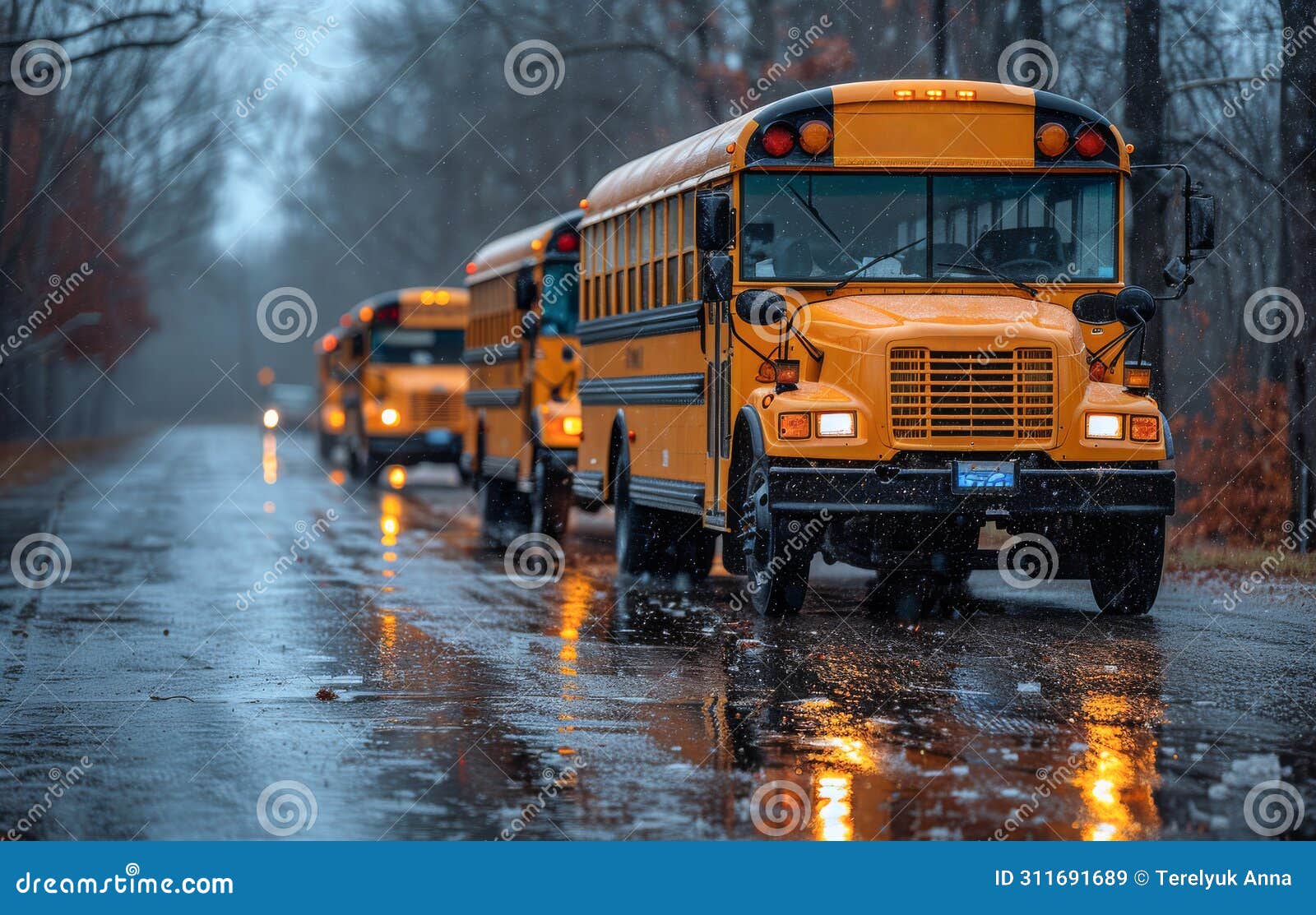 School Buses Parked on the Road in the Rain Stock Image - Image of ...