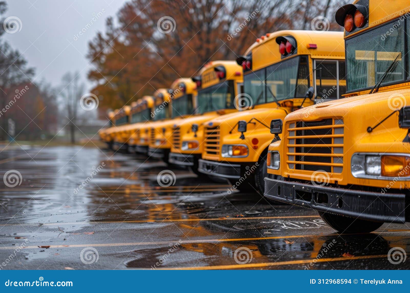 School Buses Parked in Row in the Rain Stock Photo - Image of public ...