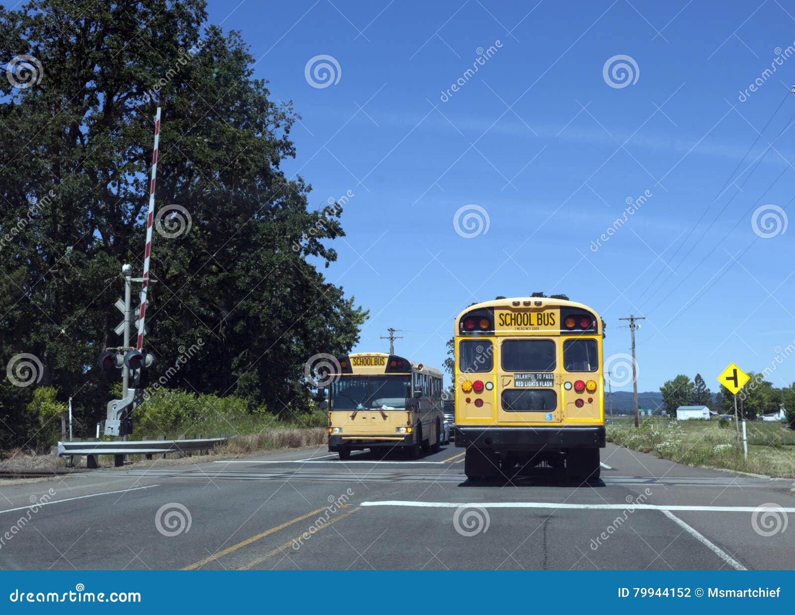 School Buses at Railroad Crossing Stock Photo - Image of yellow ...
