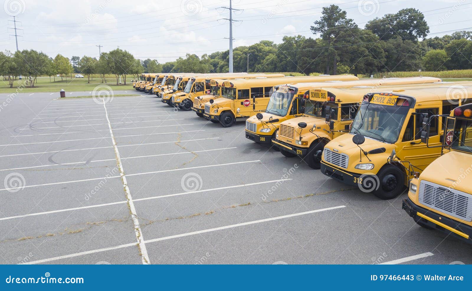 School Busses Parked at School Stock Image - Image of fleet, educate ...
