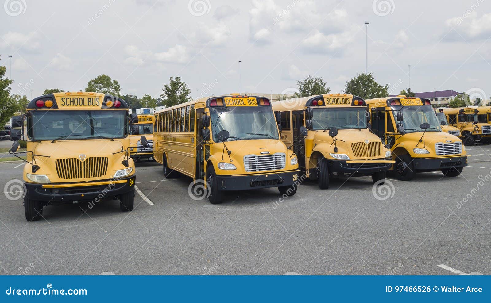 School Busses Parked at School Stock Photo - Image of parking ...