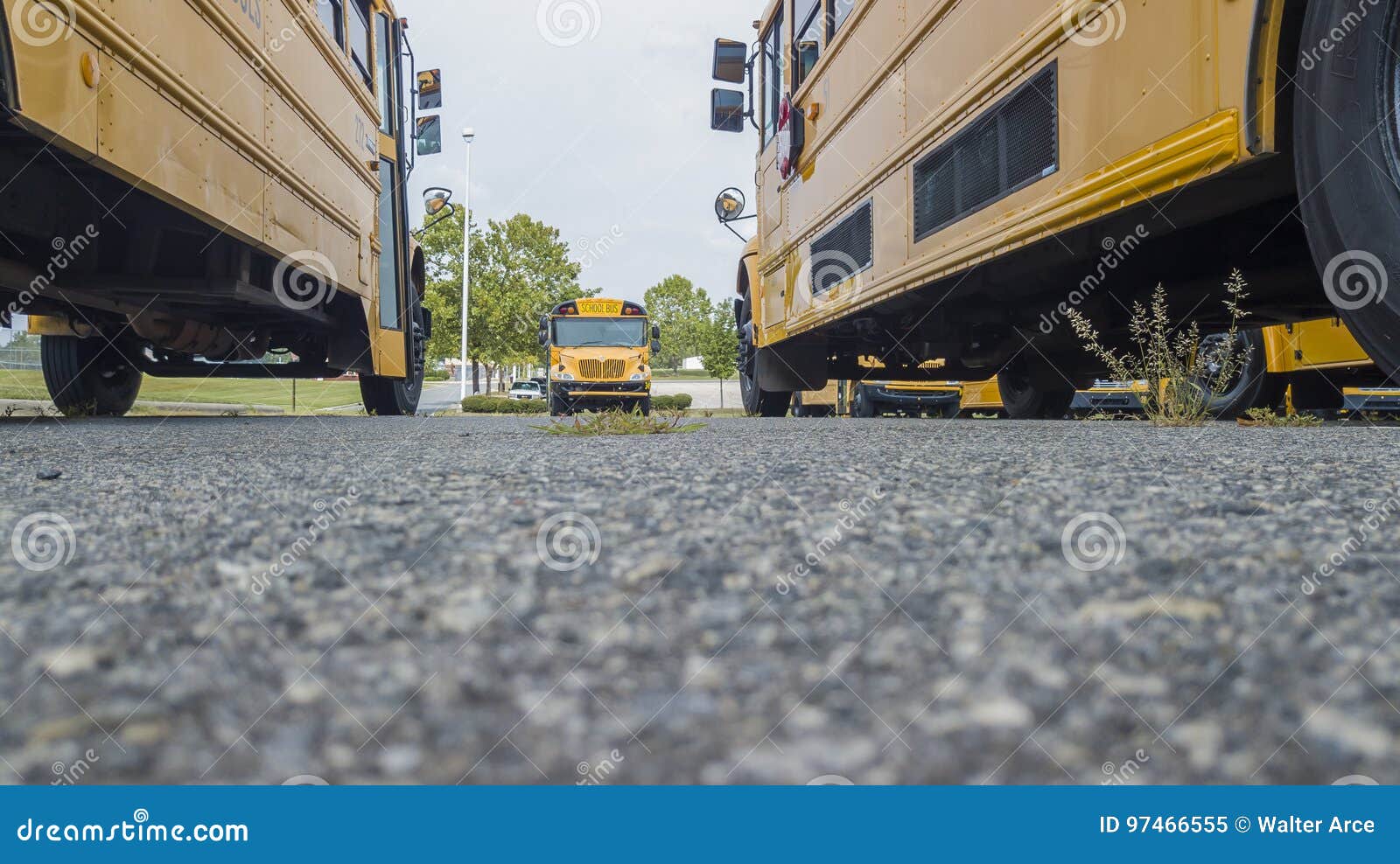 School Busses Parked at School Stock Image - Image of high, preschool ...