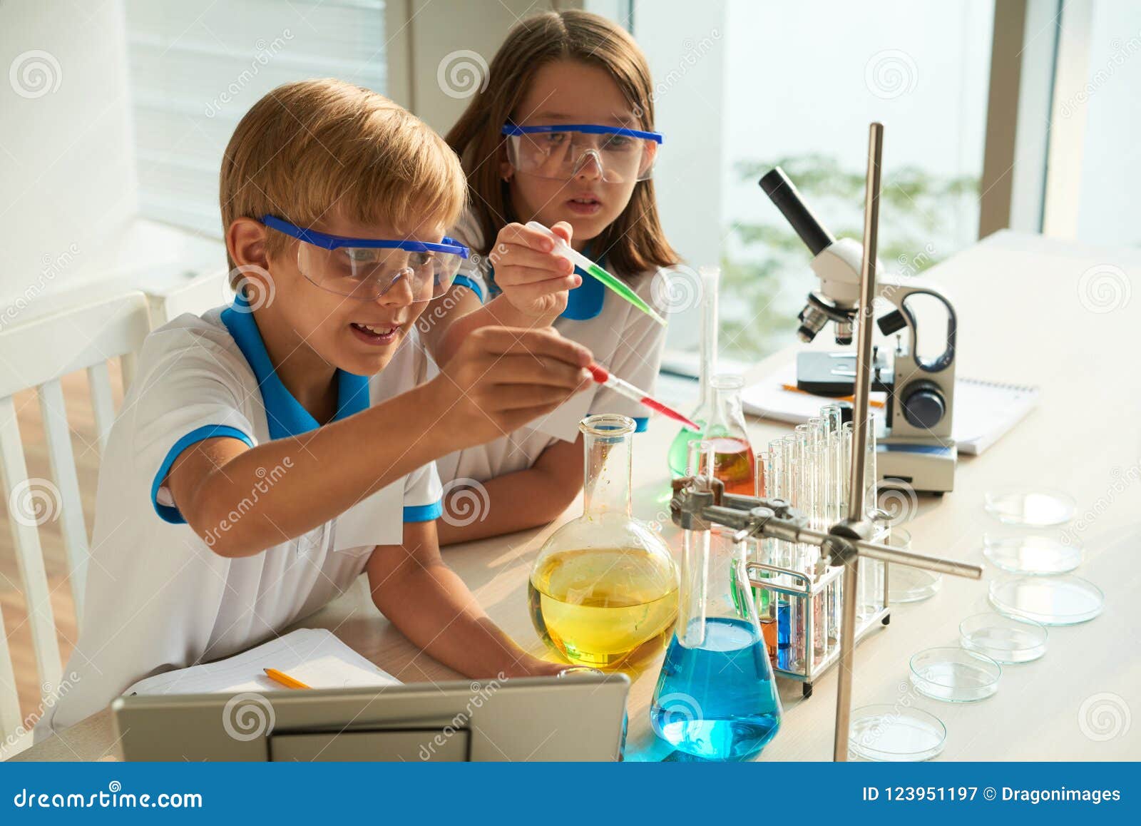 Science class stock image. Image of classroom, studying - 123951197