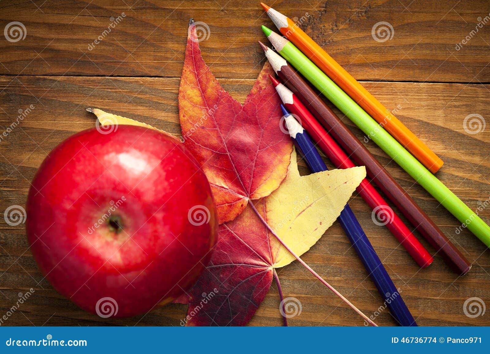 School Colored Pencils and Autumn Leaves Stock Photo - Image of paper ...