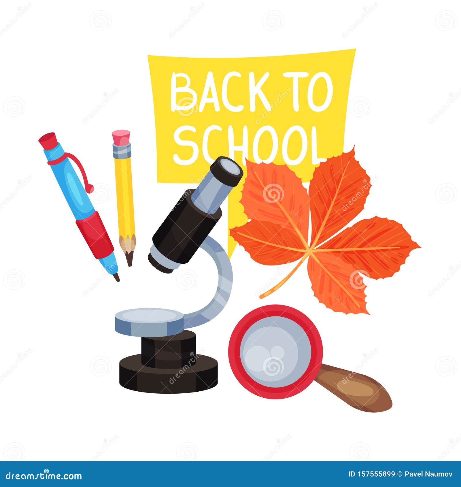 Sheet With Pencils Vector Illustration | CartoonDealer.com #15524912