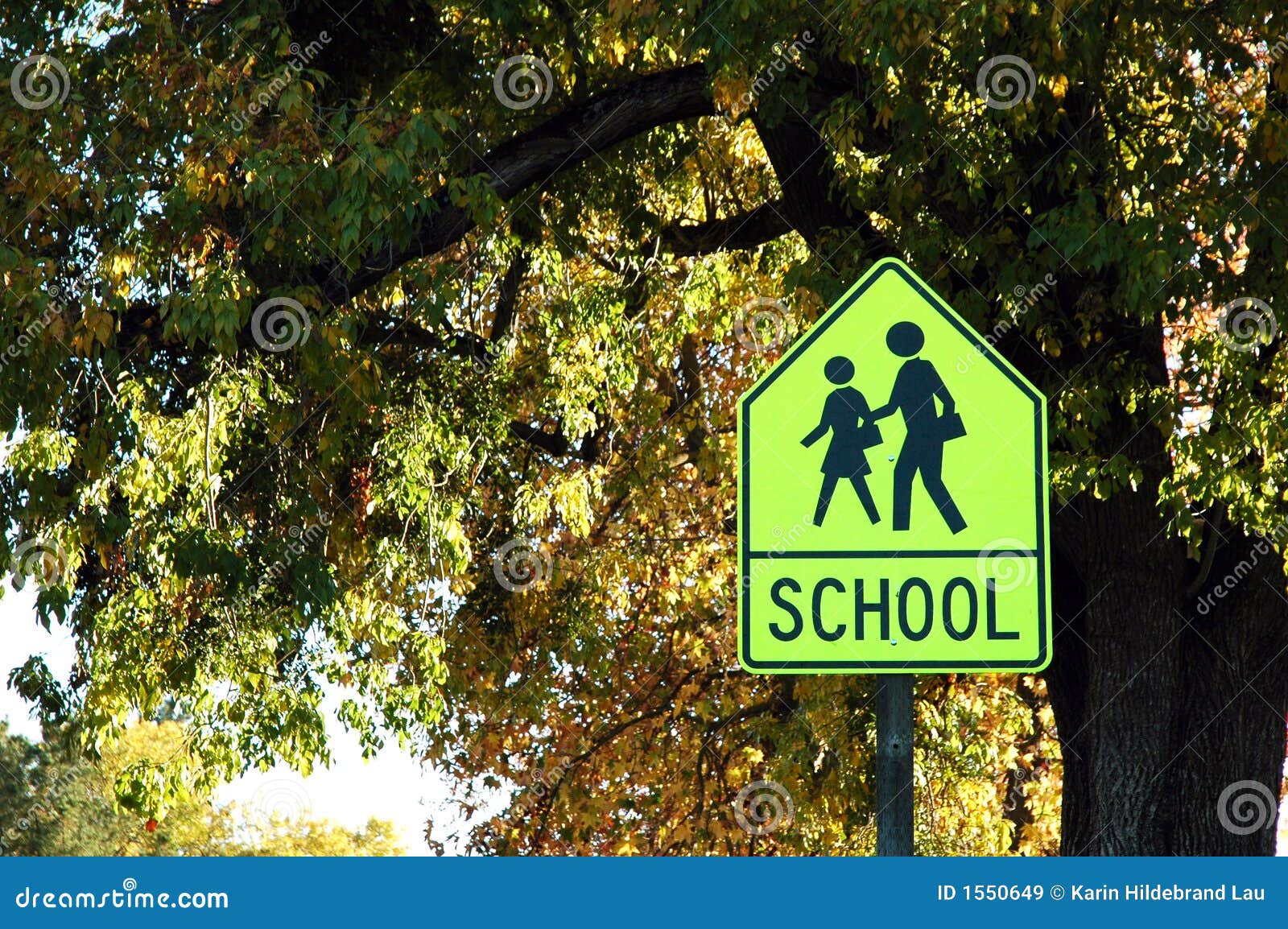 School Crossing stock image. Image of pupil, crossing - 1550649
