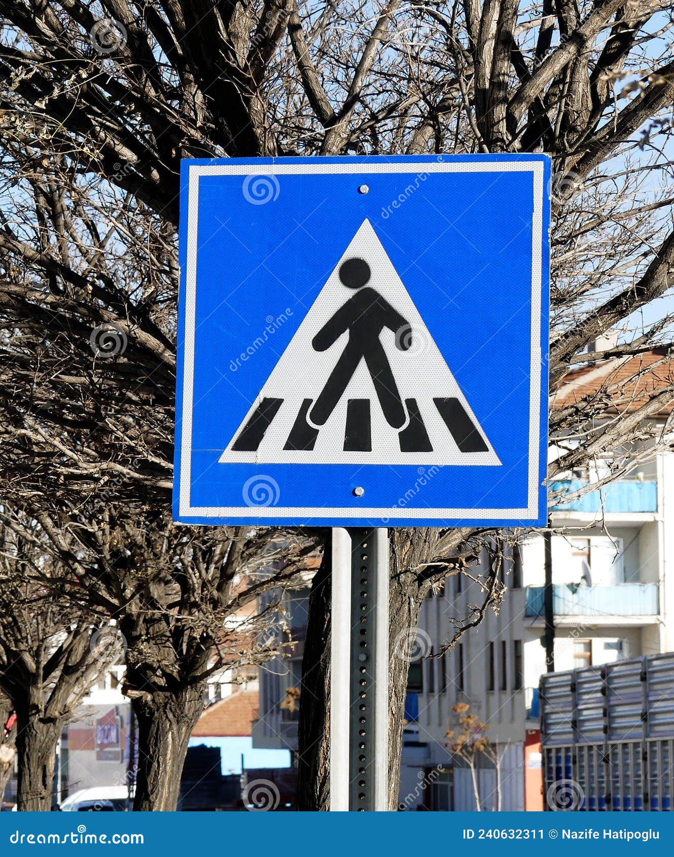 School Crossing Sign, School Crossing Sign, Highway and School Crossing ...