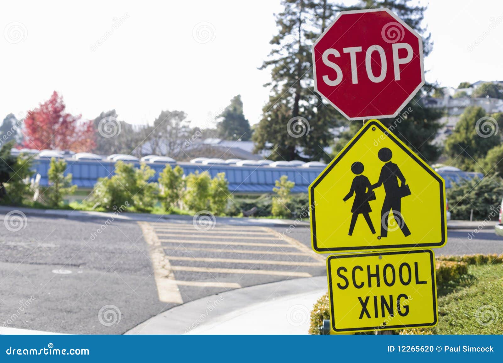 School Crosswalk Signs stock photo. Image of road, crossing - 12265620