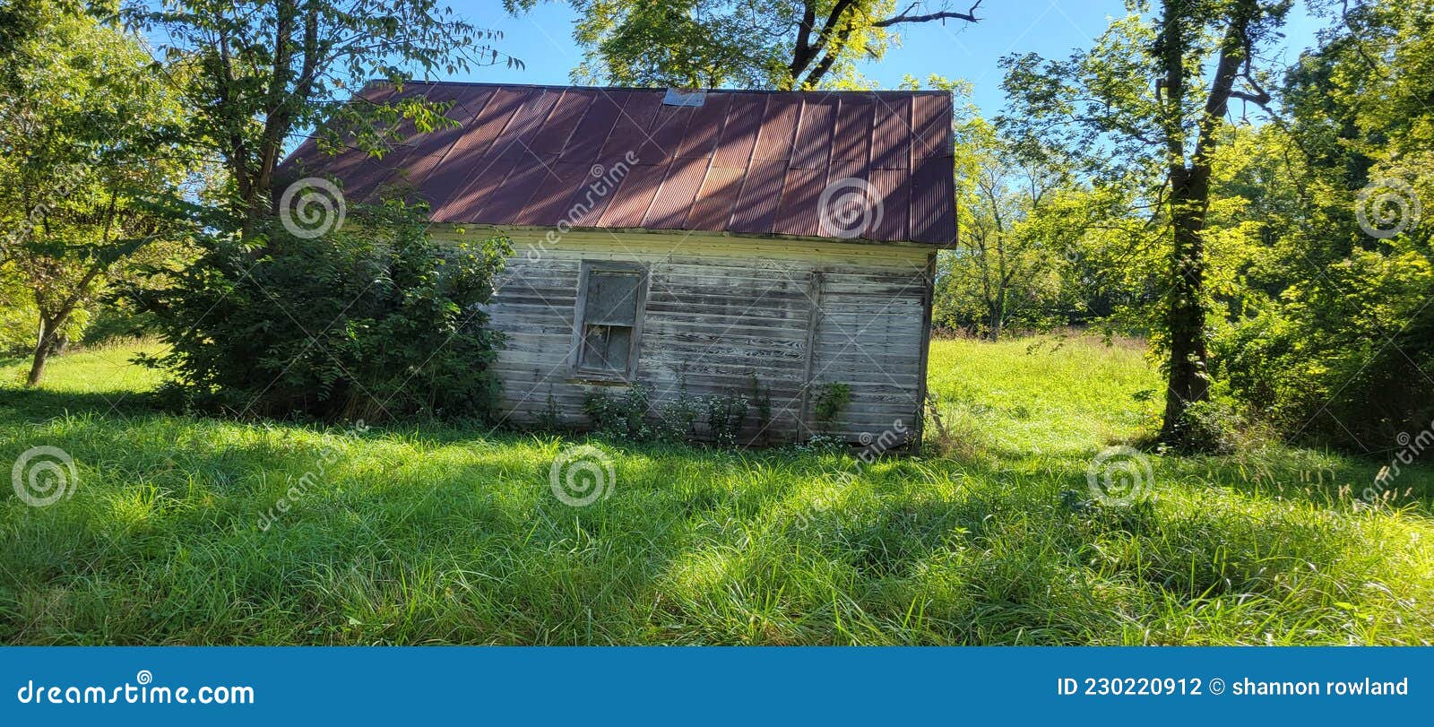 School Days of the Past stock photo. Image of school - 230220912