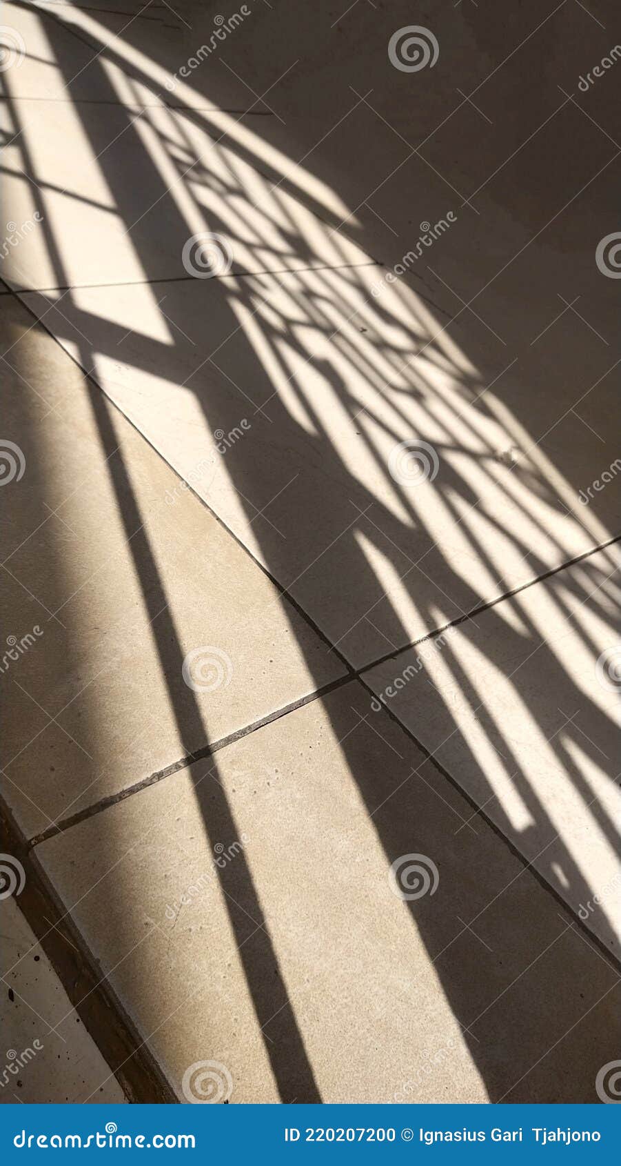 Gate shadow printing stock photo. Image of school, printing - 220207200