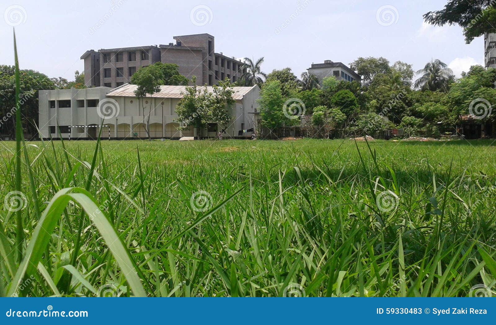 School field. stock image. Image of beautiful, grass - 59330483