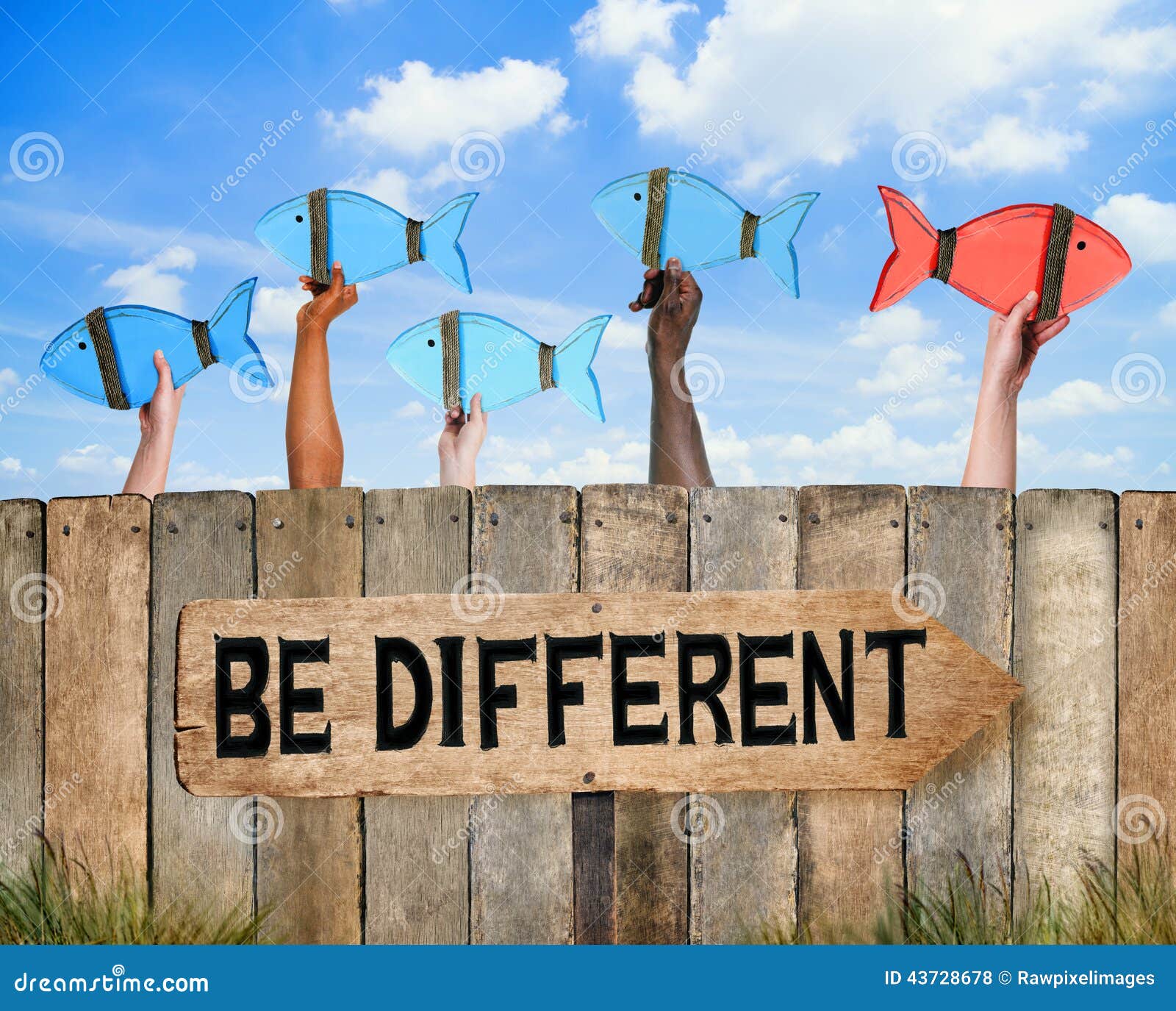School of Fish and Be Different Concept Stock Photo - Image of idyllic ...
