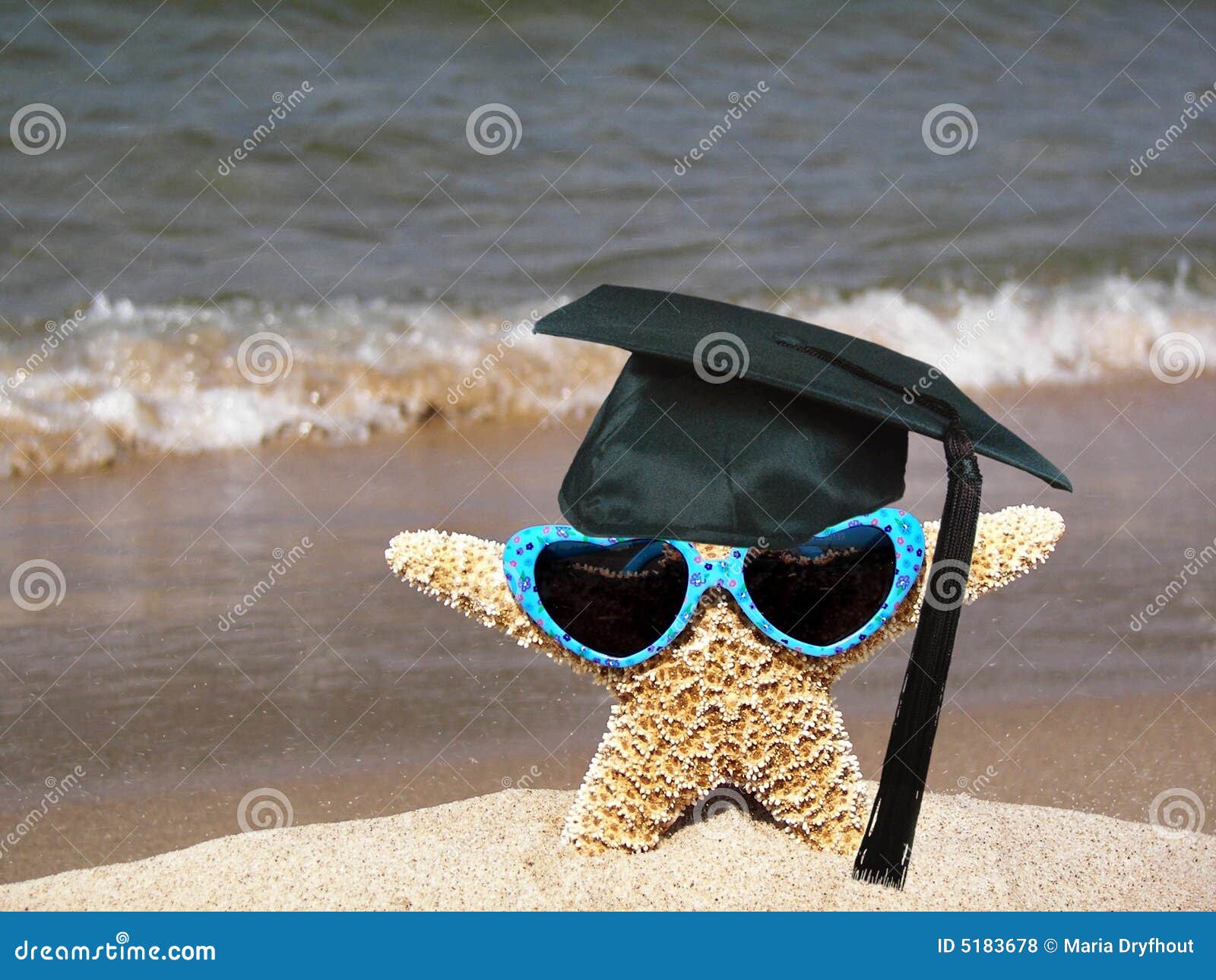 Starfish Graduate Wearing Sunglasses Stock Photo - Image of graduate ...
