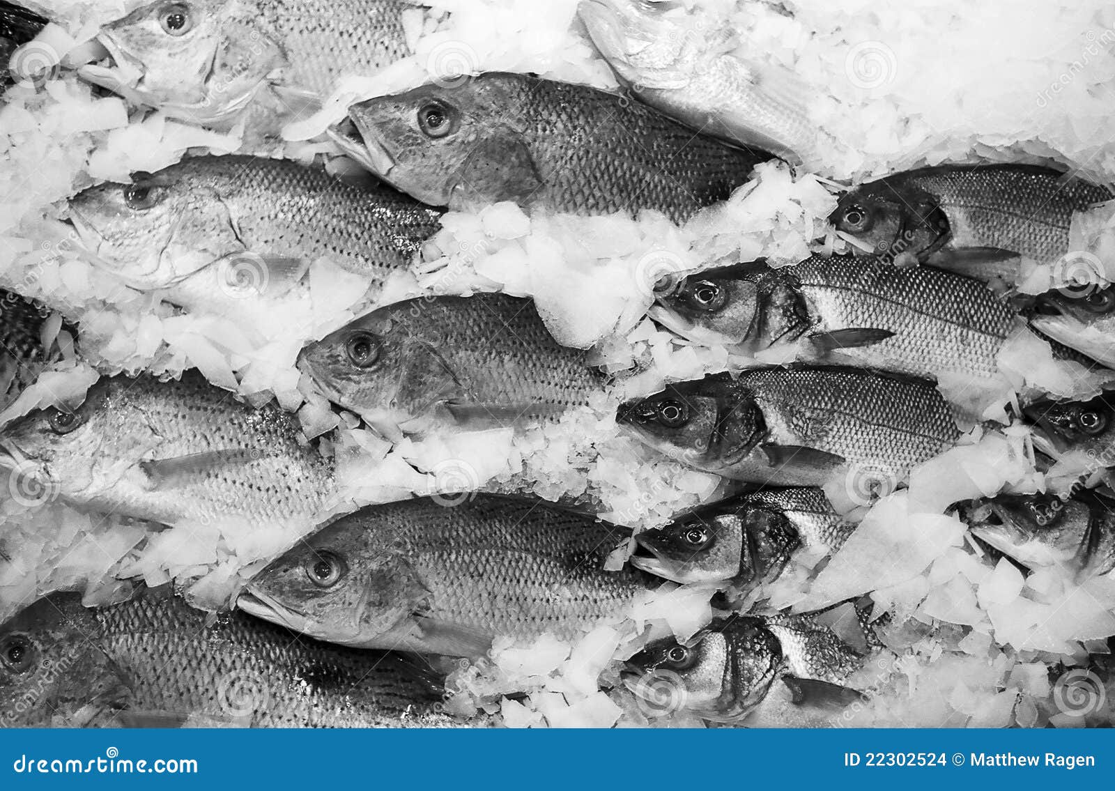 270 Leica Monochrome Stock Photos - Free & Royalty-Free Stock Photos ...