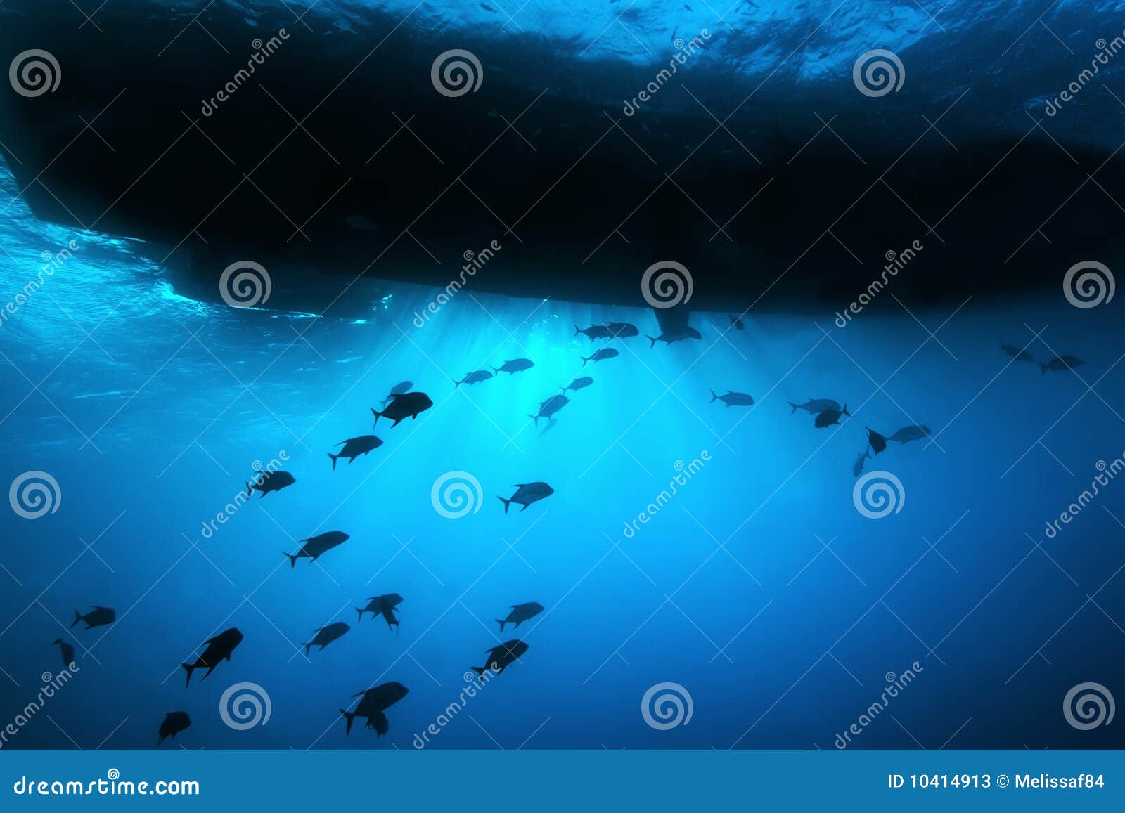 School of fish under boat stock image. Image of exploration - 10414913