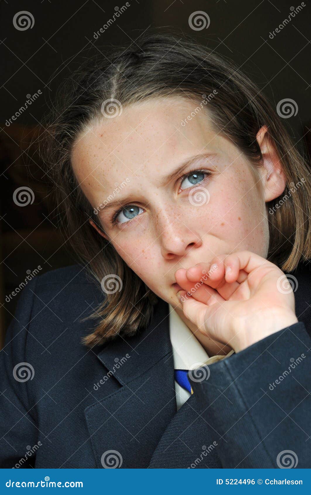 School girl concentrating stock photo. Image of lesson - 5224496