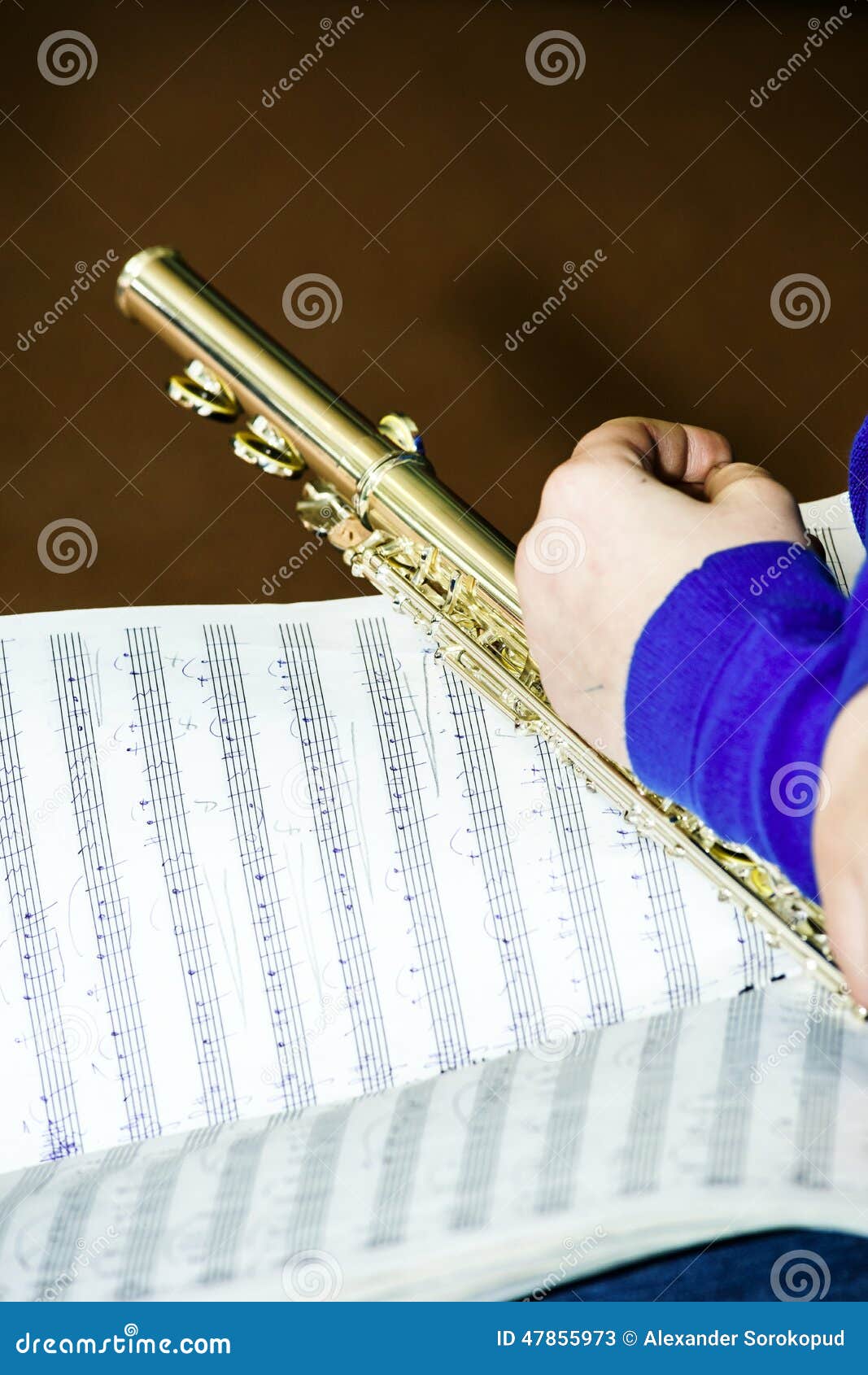 School Girl with Transversal Flute Stock Image - Image of class, flute ...