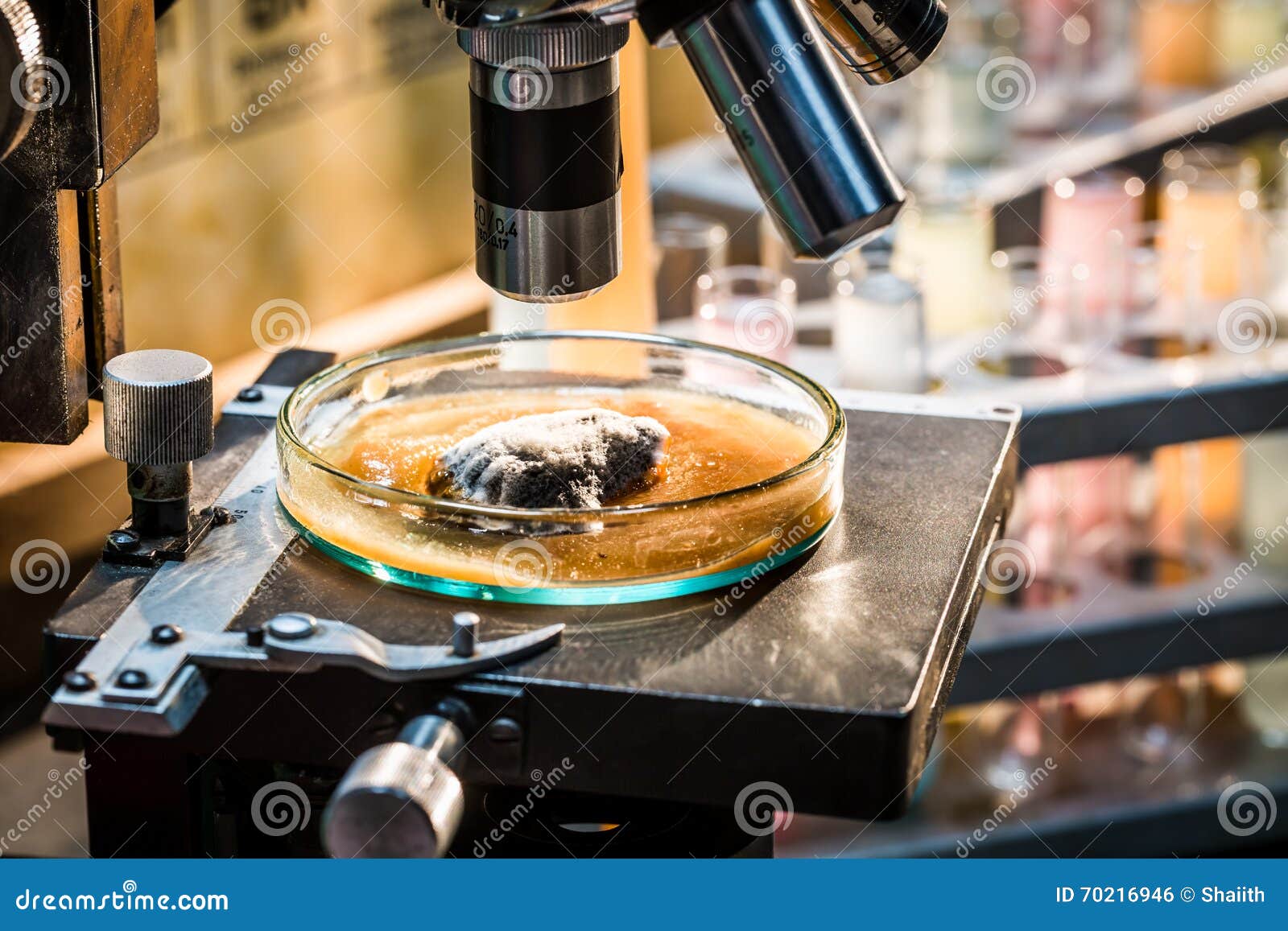 School Laboratory during the Mold Test Stock Photo - Image of fumes ...