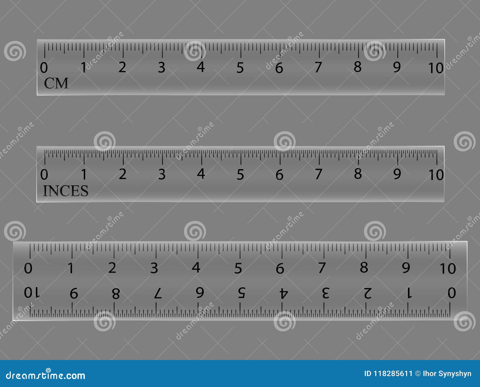 School of Measuring Plastic Strap of 10 Centimeters in Colorless Color ...