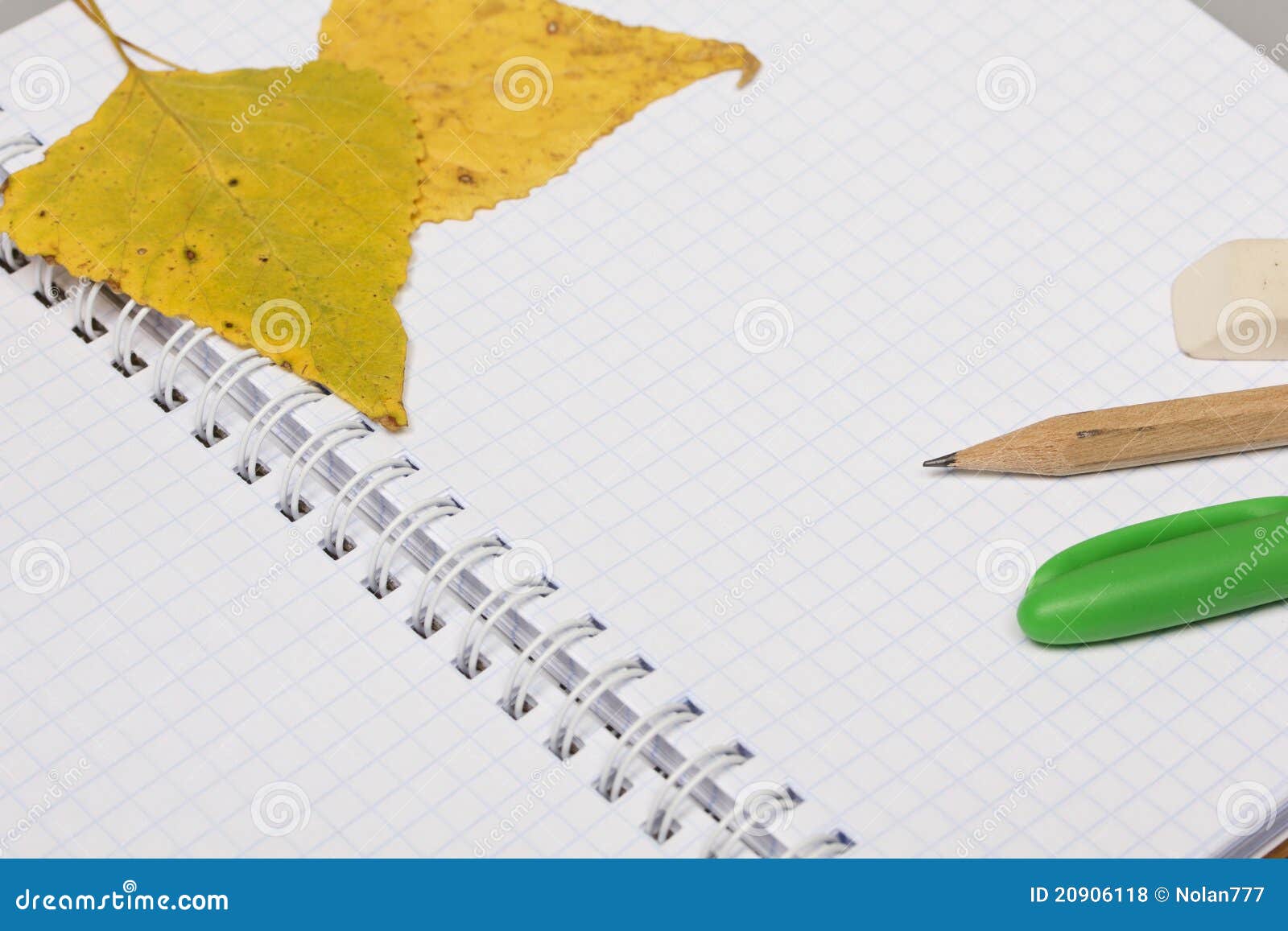 School notebook stock photo. Image of opened, page, teaching - 20906118