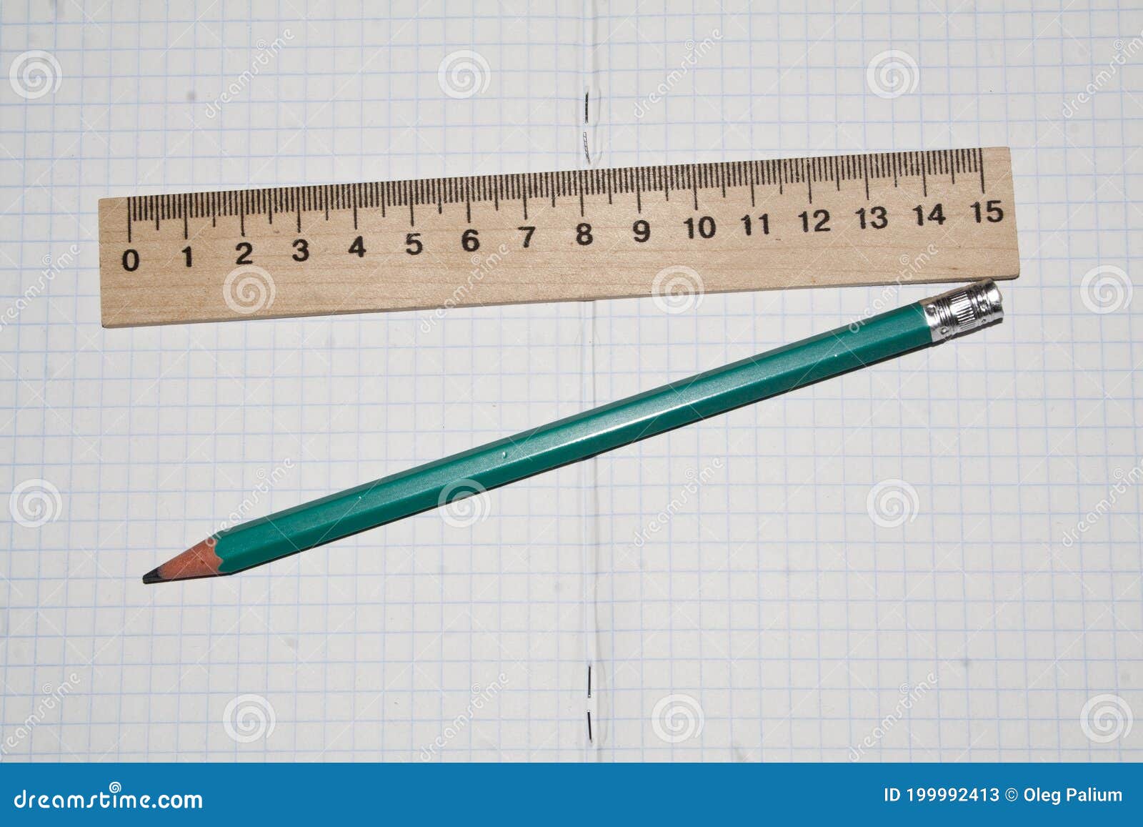 School notebook in a cage stock image. Image of cage - 199992413