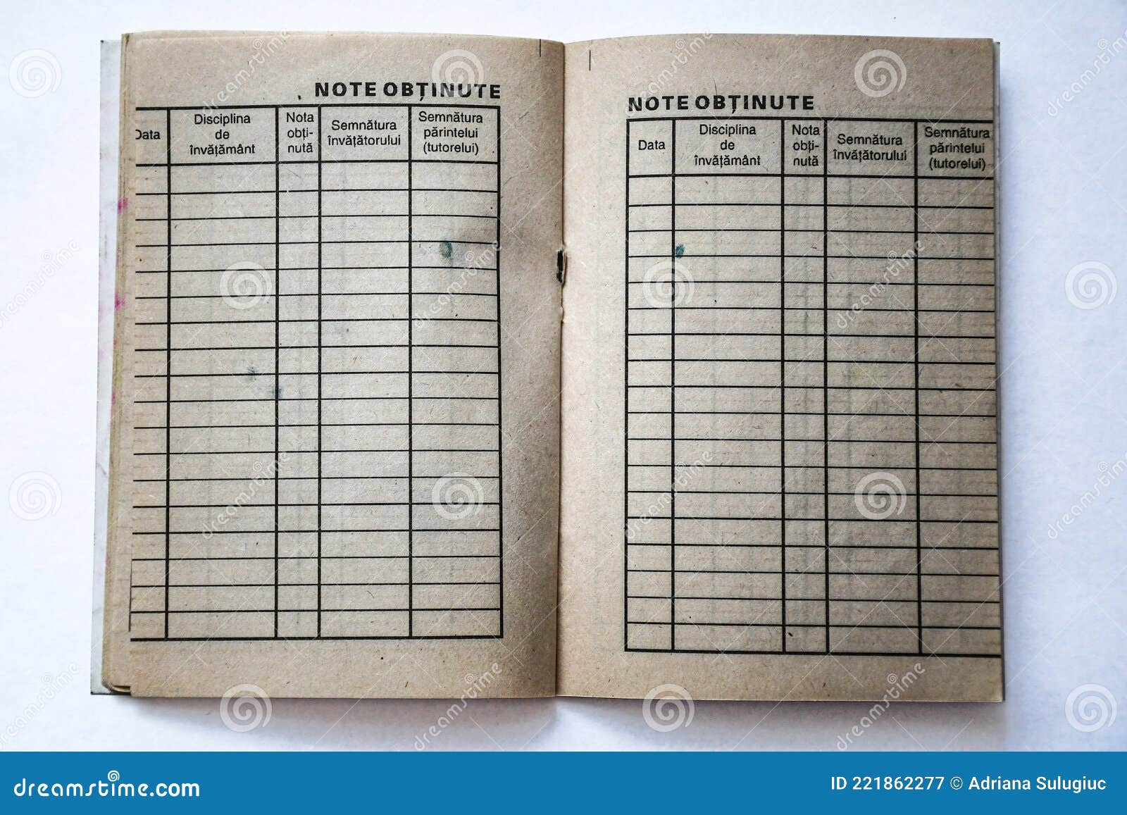 The Report Card Book