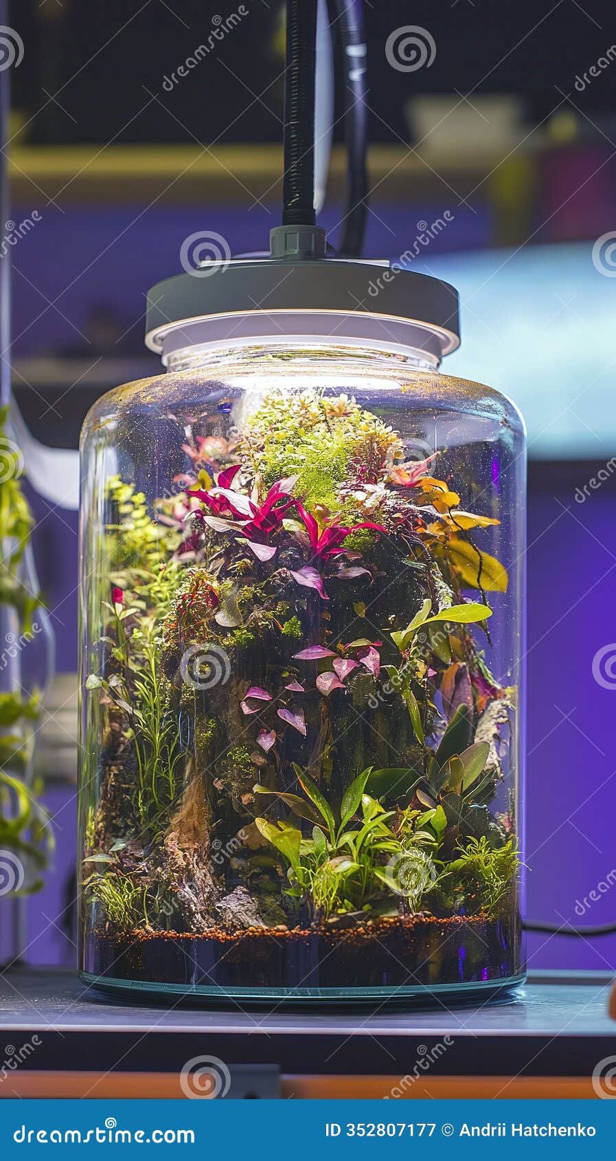 School Science Project Featuring Invasive Species in a Terrarium ...