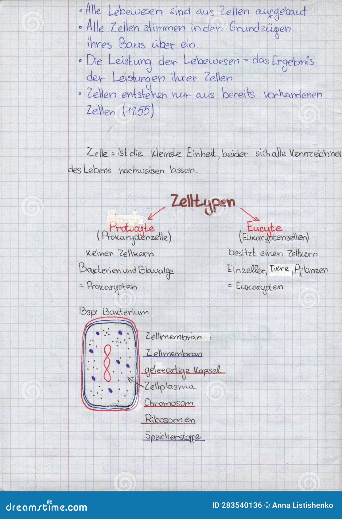 School Student S Notes on Biology, in a School Notebook about Types and ...