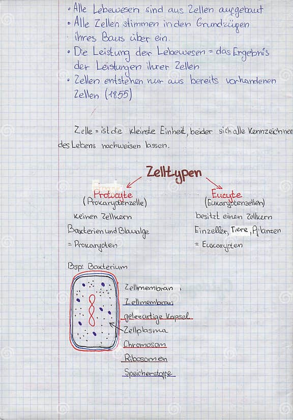 School Student S Notes on Biology, in a School Notebook about Types and ...
