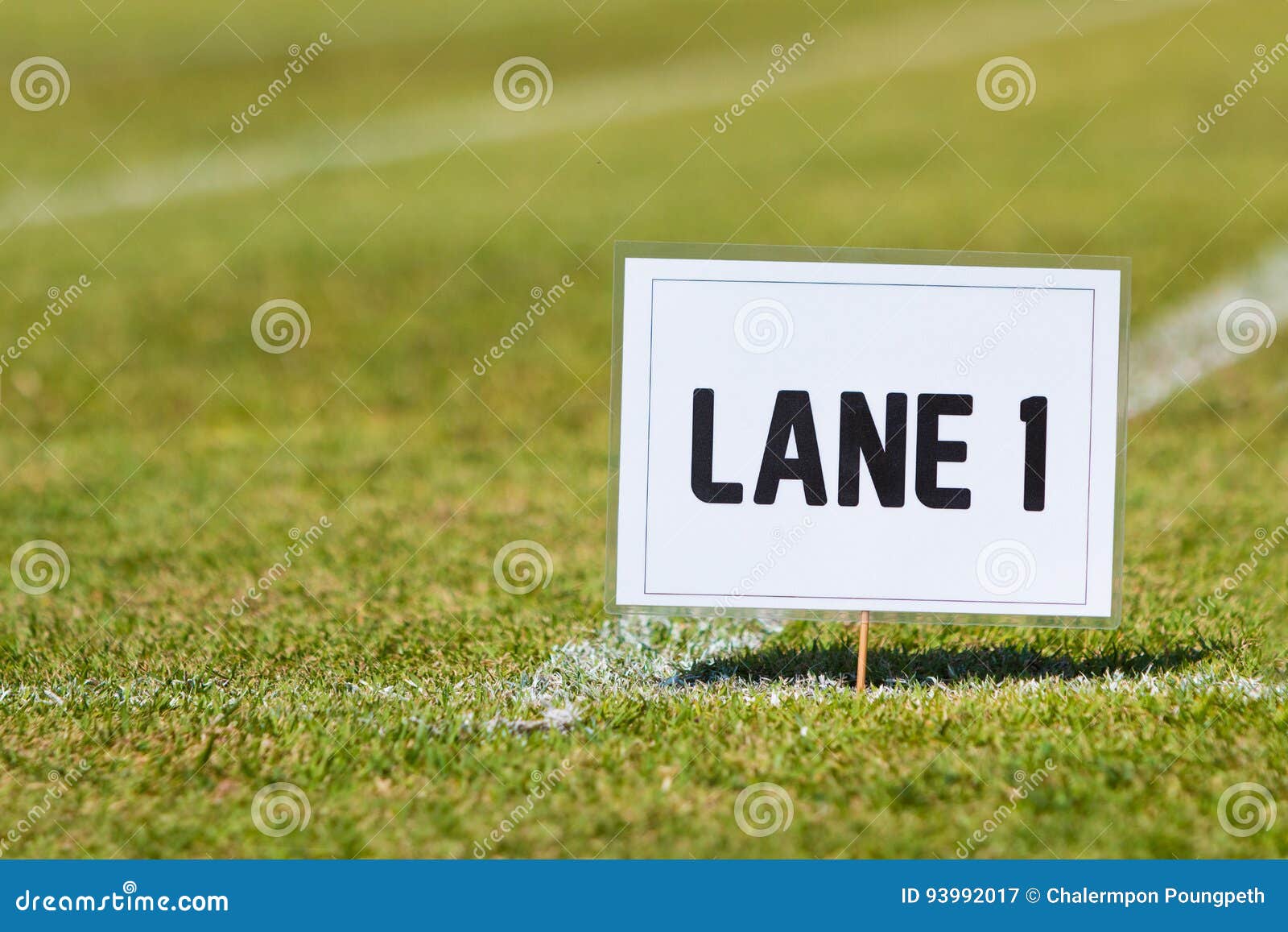 School Track and Field Lane 1 Sign on Grass Stock Image - Image of ...