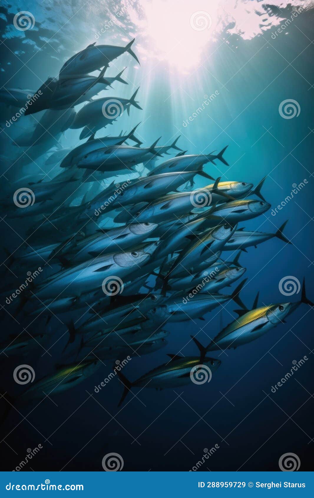 Tuna Swimming Vector Illustration | CartoonDealer.com #5501860