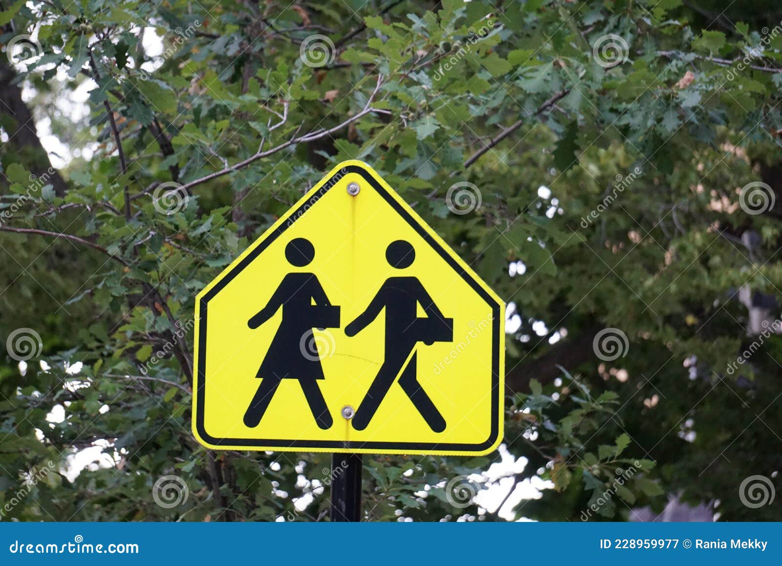 School Zone Sign with Green Leaf Trees Background Stock Image - Image ...