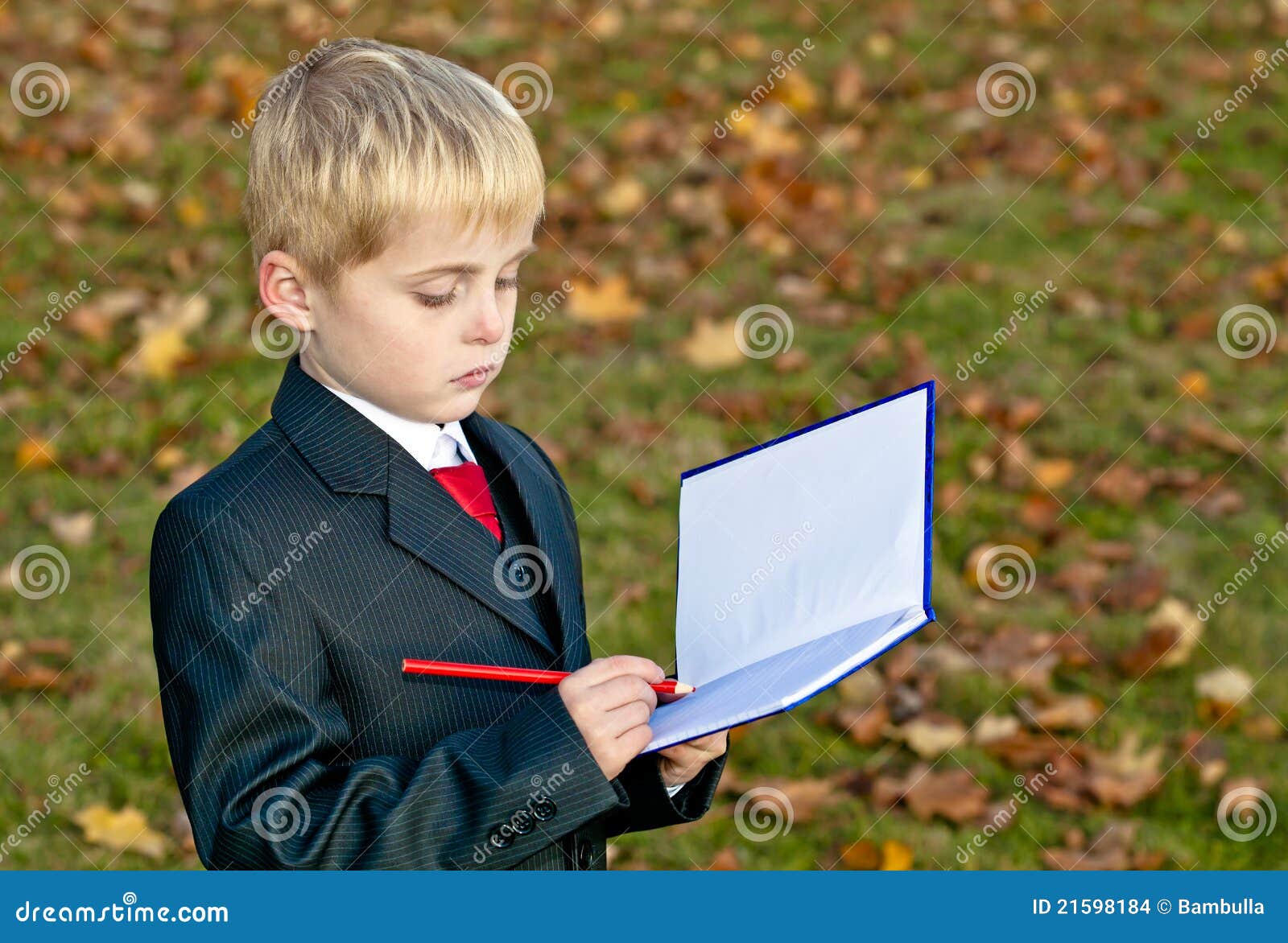 Schoolboy stock photo. Image of childhood, background - 21598184
