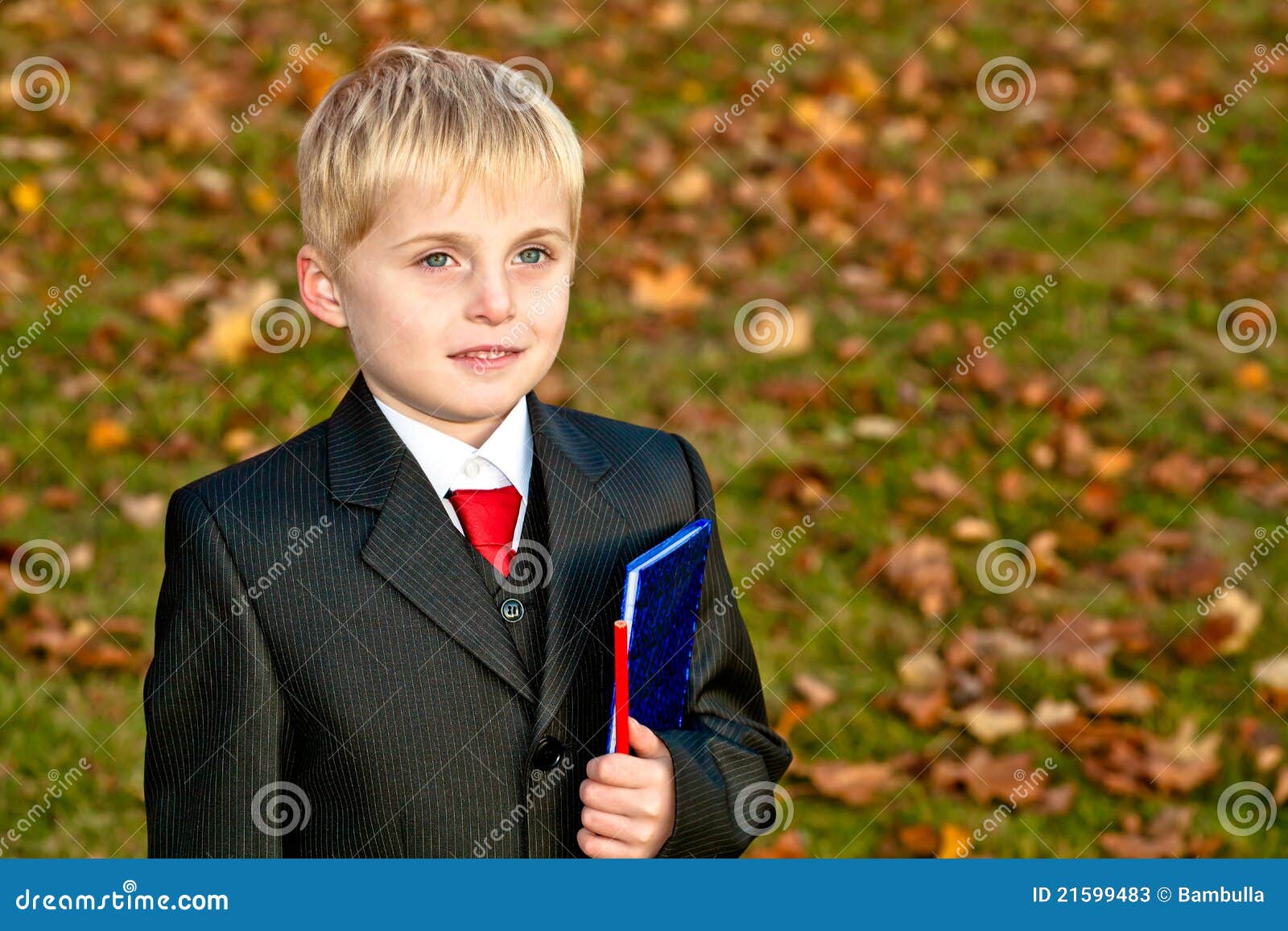 Schoolboy stock image. Image of handle, notebook, male - 21599483
