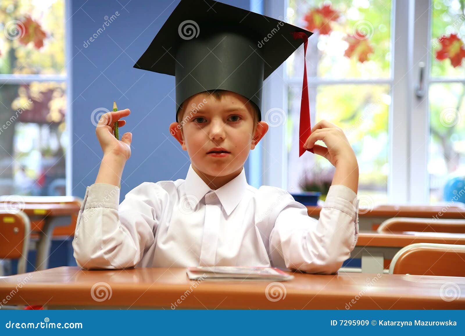 Schoolboy stock image. Image of desk, child, face, class - 7295909