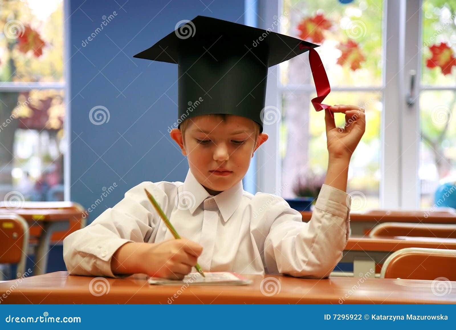 Schoolboy stock photo. Image of expressive, expertise - 7295922