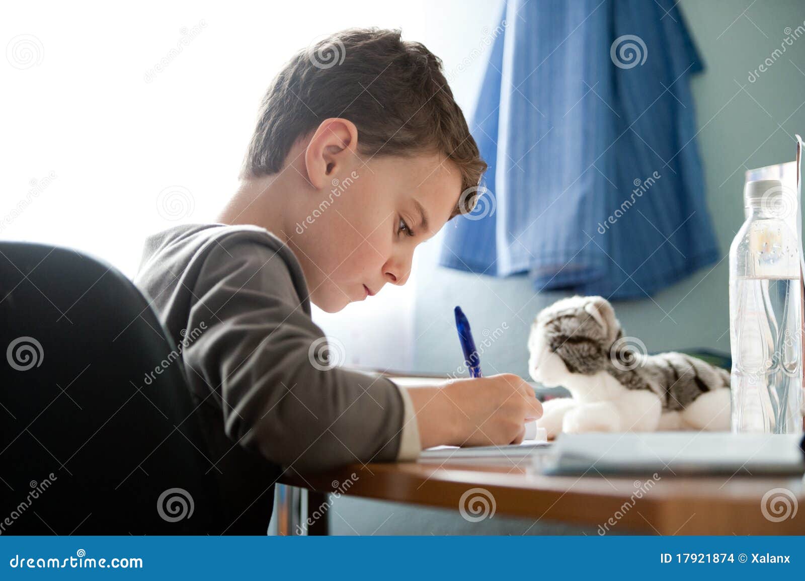 Schoolboy Doing Homework at His Stock Photo - Image of profile ...