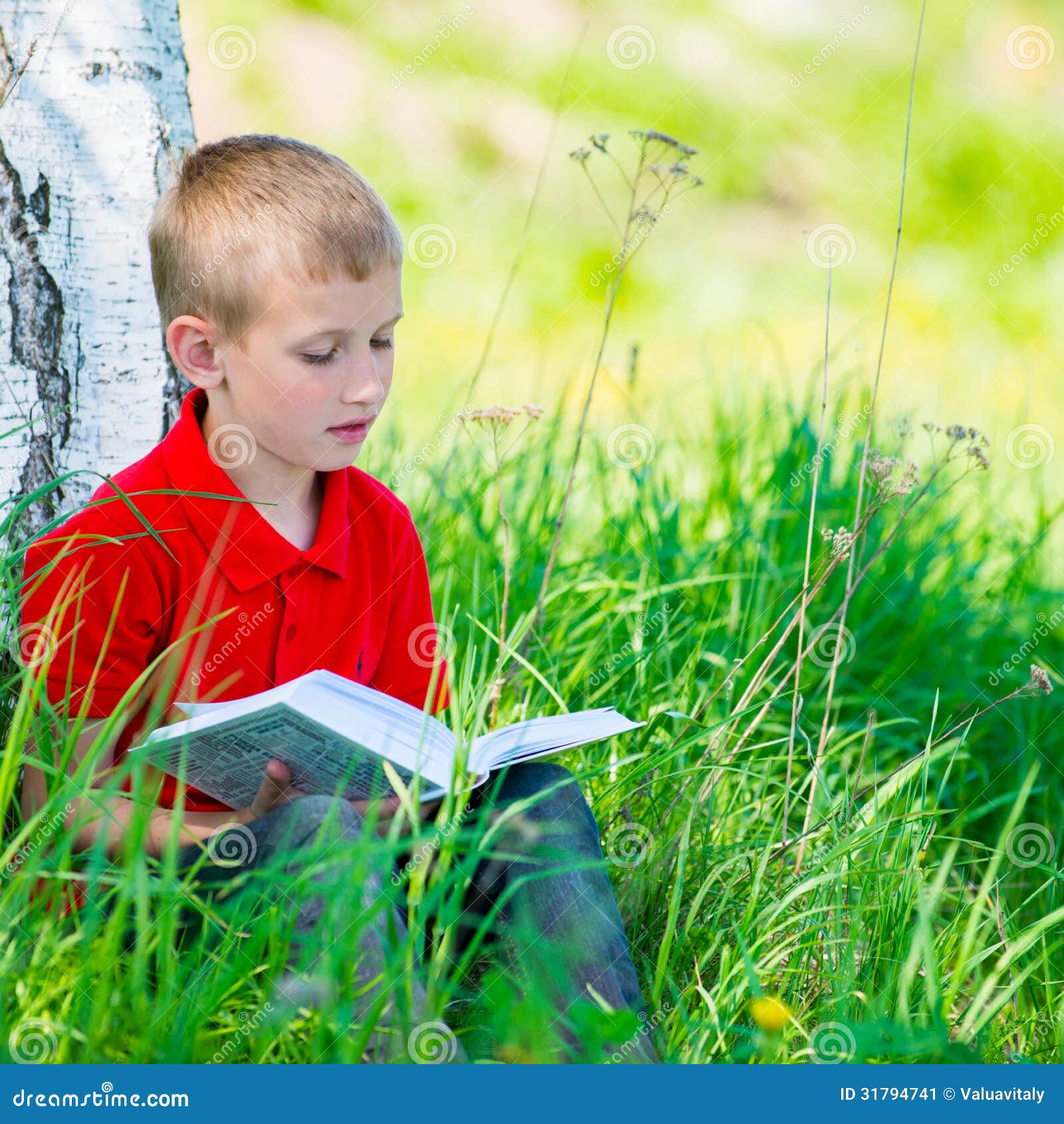 Schoolboy Reading the Book at Nature Stock Image - Image of clever ...