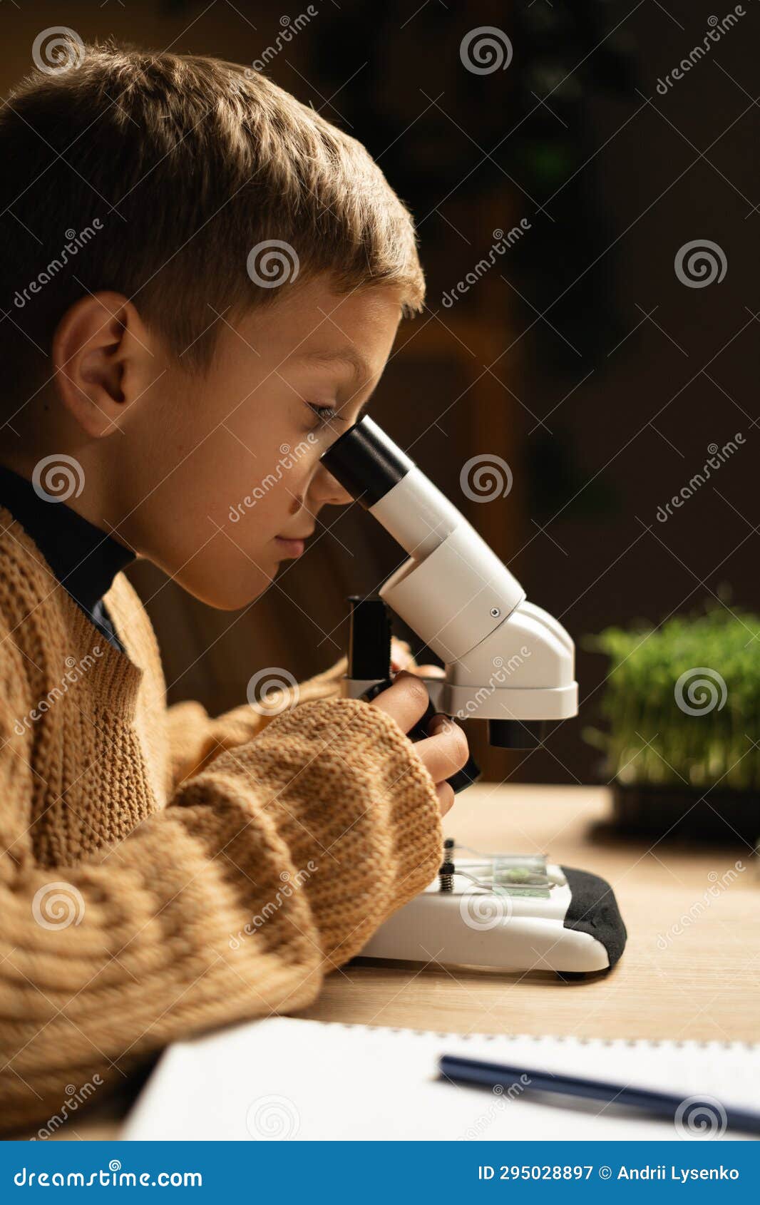 Schoolboy Studying Nature at Home Using a Microscope while Conducting ...