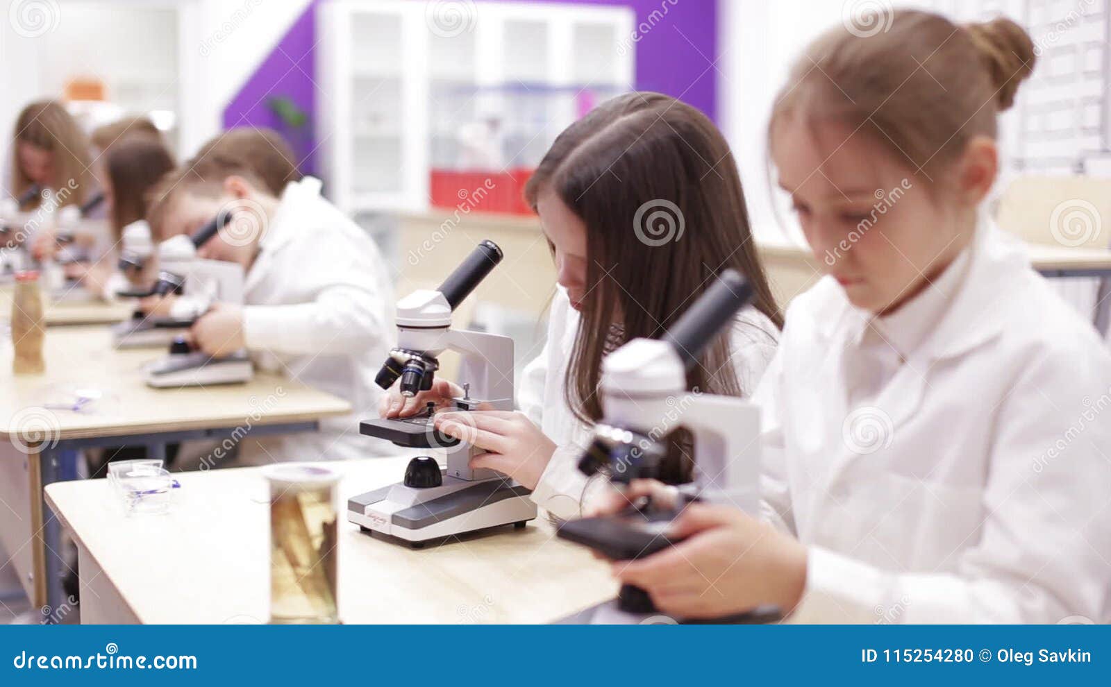 Elementary School Biology Class. Children Studing Biology in School ...