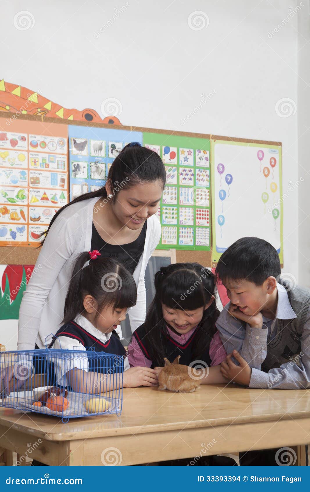 Schoolchildren and Teacher Playing with Pet Rabbit in the Classroom ...