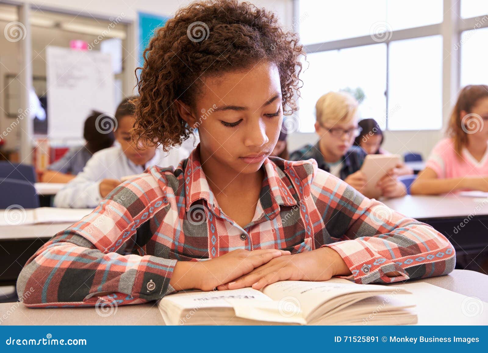 Schoolgirl Reading at Her Desk in an Elementary School Class Stock ...
