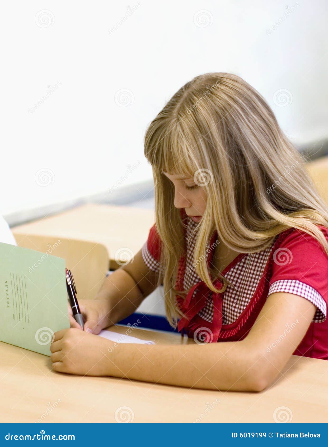 Schoolgirl Writing Picture. Image: 6019199