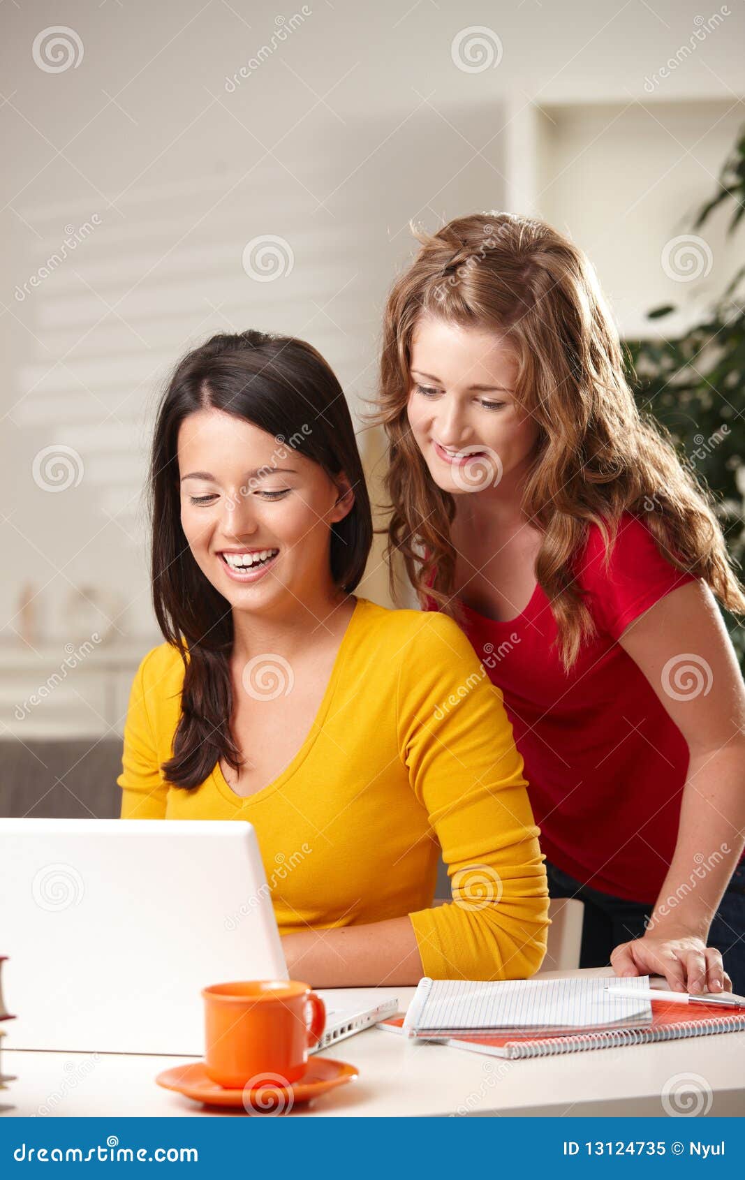 Schoolgirls Looking at Computer Stock Image - Image of girl, indoor ...