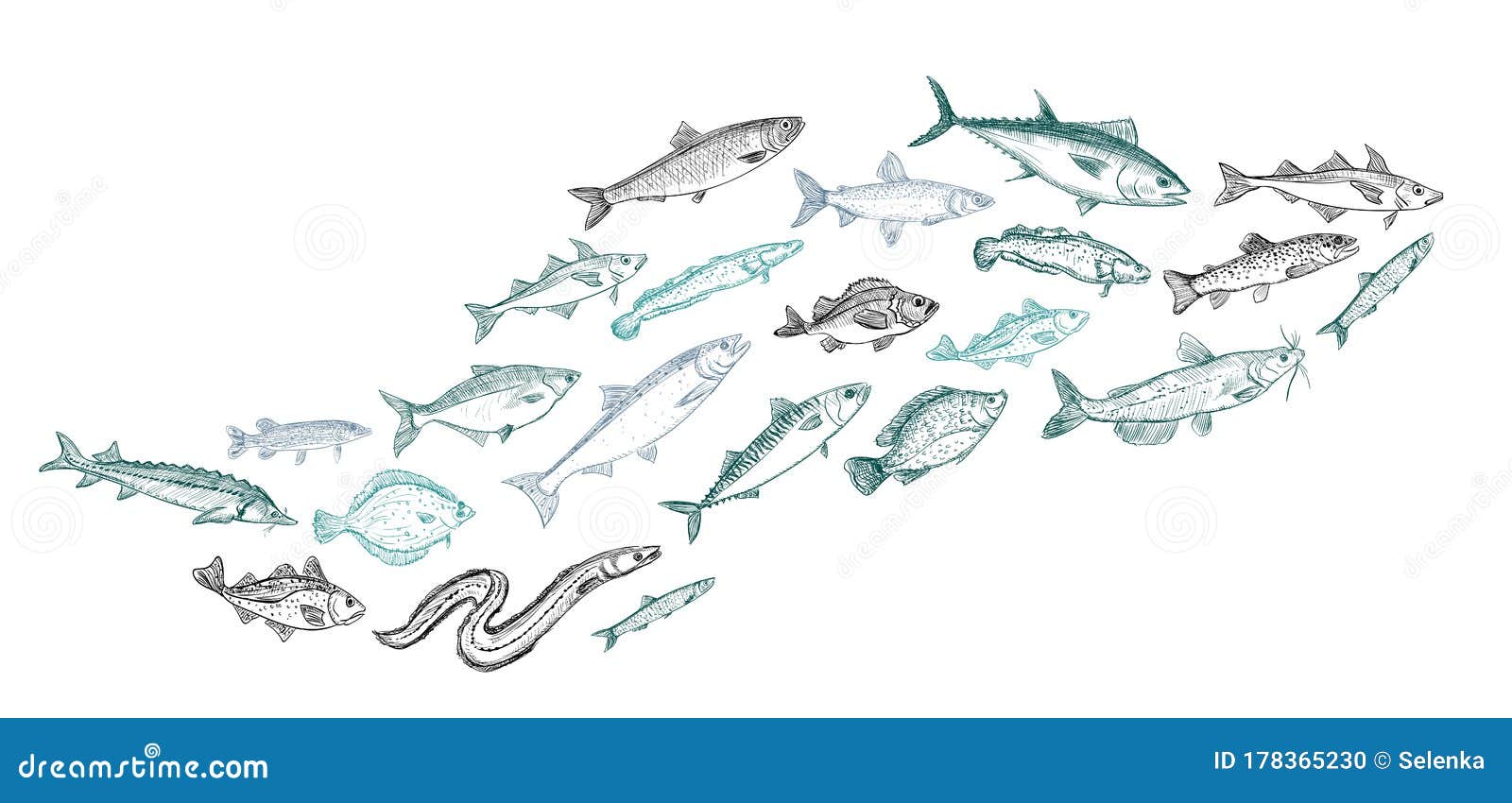 Schooling Fish Graphic Illustration Stock Vector - Illustration of ...