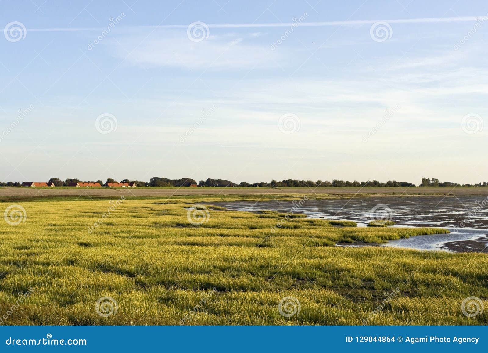 Schorren Bij Den Oever; Tidal Creeks at Den Oever Stock Photo - Image ...