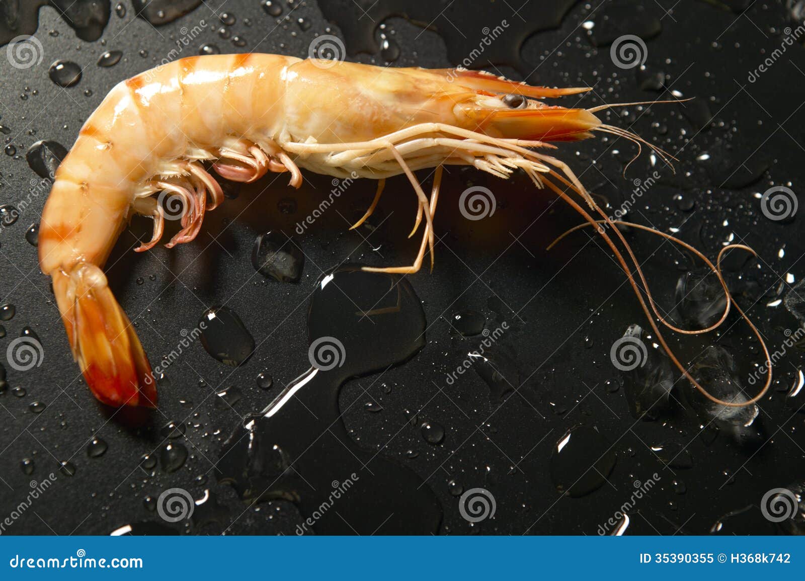 Schrimp stock image. Image of ready, fish, prepared, food - 35390355