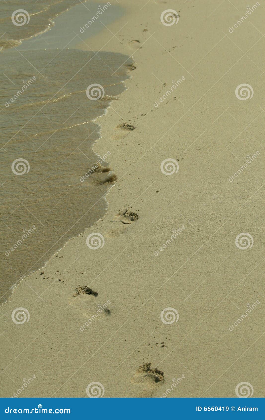 Schritte auf dem Strand stockbild. Bild von sand, strand - 6660419