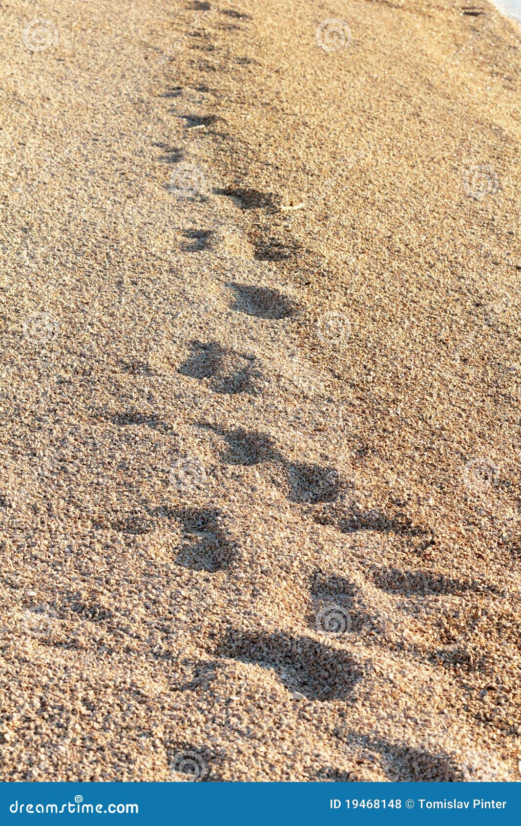 Schritte am Strand stockfoto. Bild von sandig, strand - 19468148