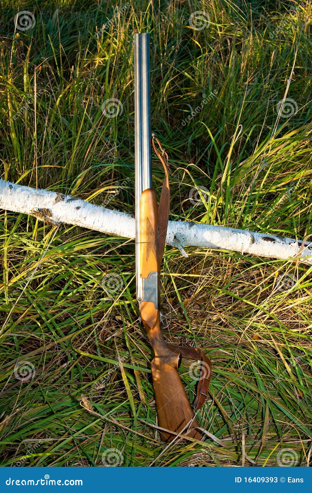 Schrotflinte stockbild. Bild von gruppe, griff, metall - 16409393